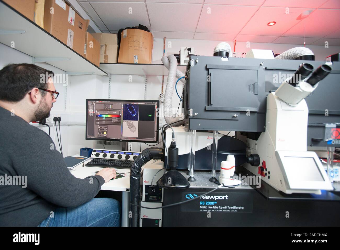 Stem cell research. Researcher using a laser microscope to chart the ...