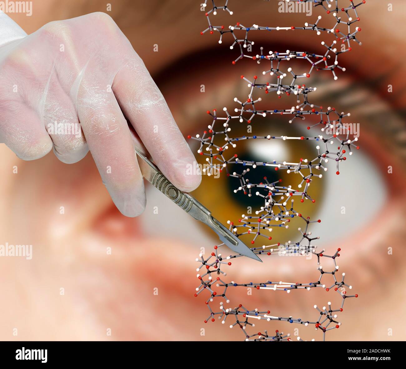 Gene editing. Conceptual image showing a human eye watching as a ...
