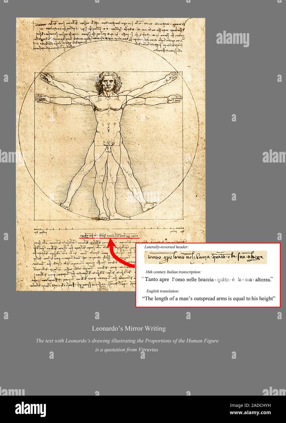 Leonardo da vinci, italy, italian, drawings, notebooks, 16c ...