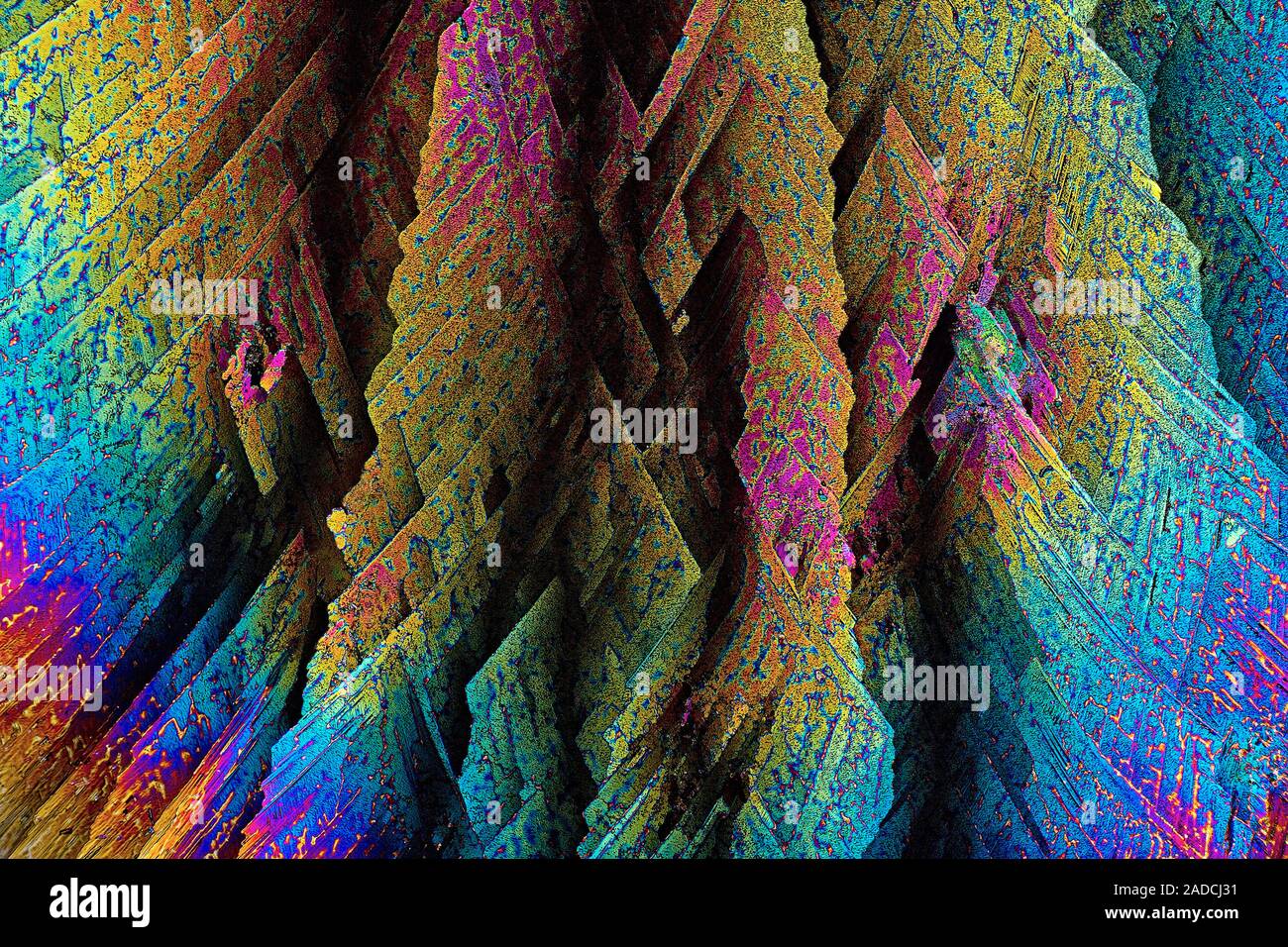 Polarized light micrograph of urea crystals, also known as carbamide, a ...