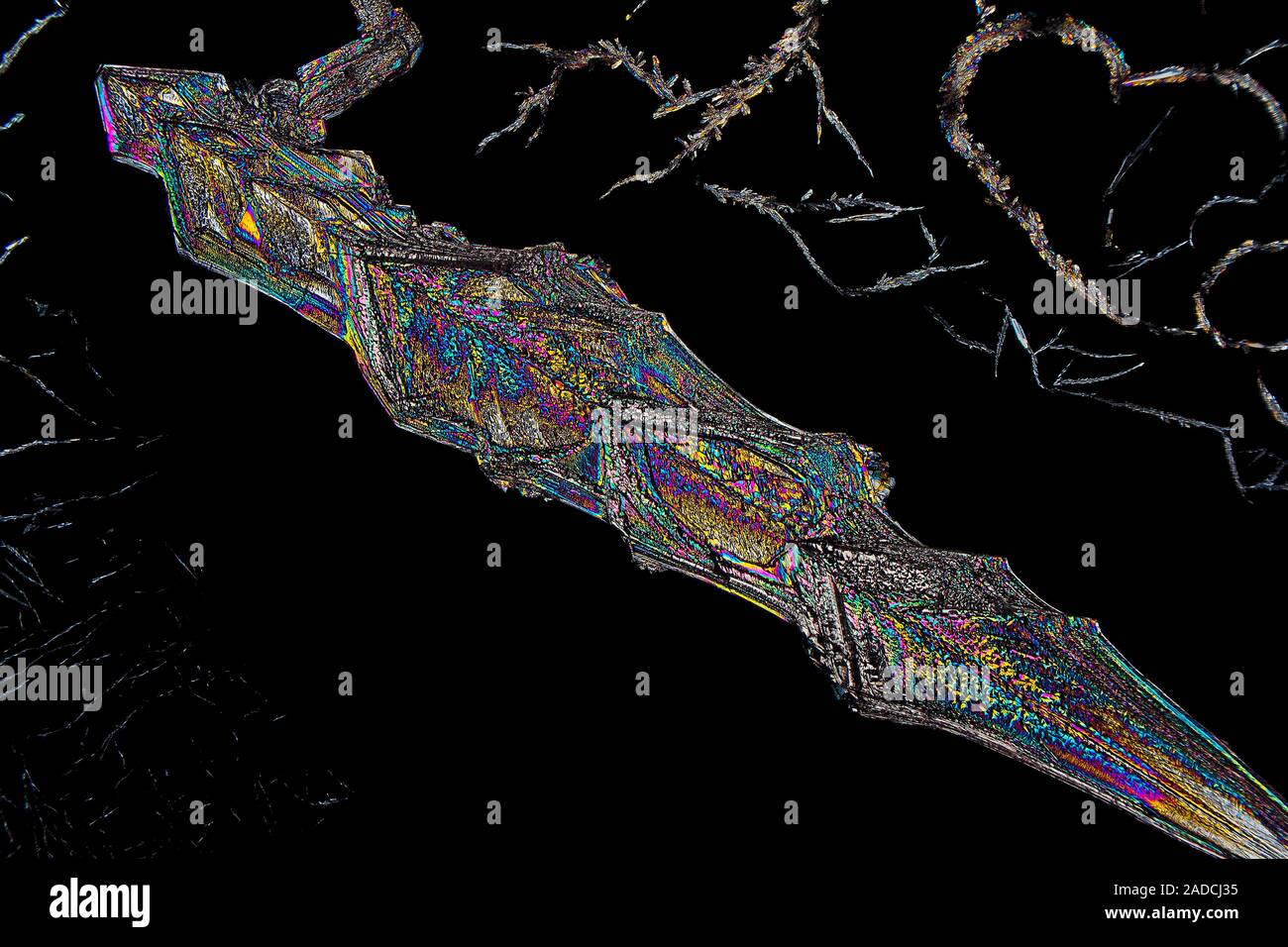 Polarized light micrograph of alanine crystals, a non-essential amino ...