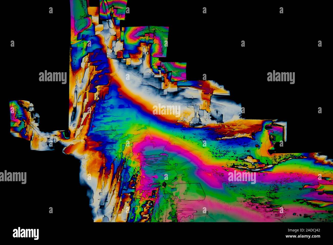 Polarized light micrograph of creatinine crystals, a breakdown product ...