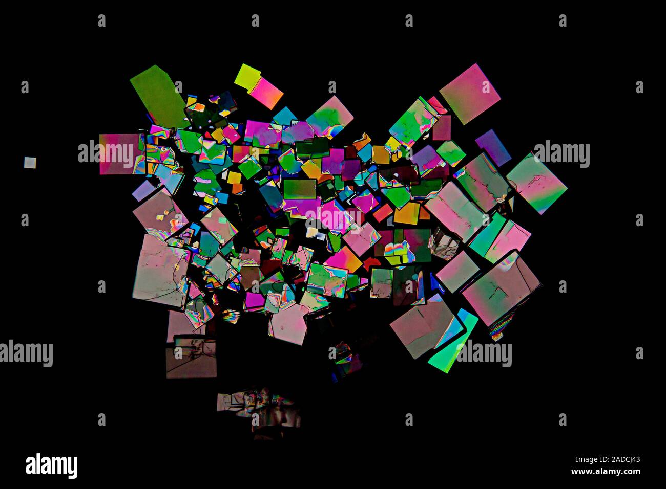 Polarized light micrograph of creatinine crystals, a breakdown product ...