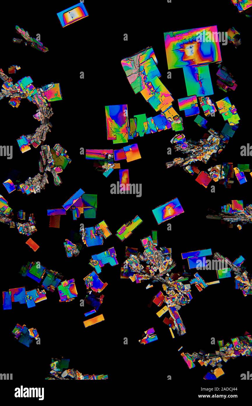 Polarized light micrograph of creatinine crystals, a breakdown product ...