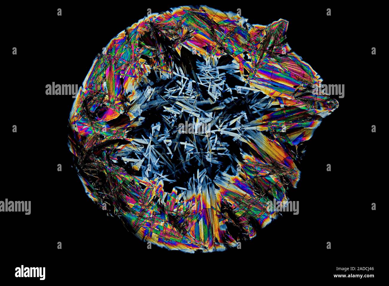 Polarized light micrograph of ciprofloxacin drug crystals, a broad ...