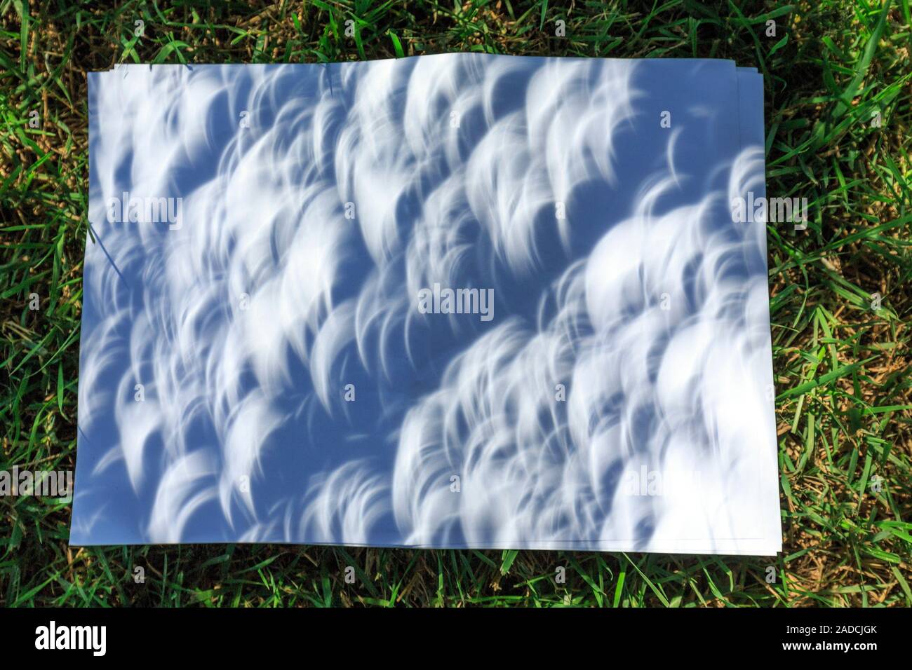 Shadow effects under a tree during the partial phase of the total solar ...