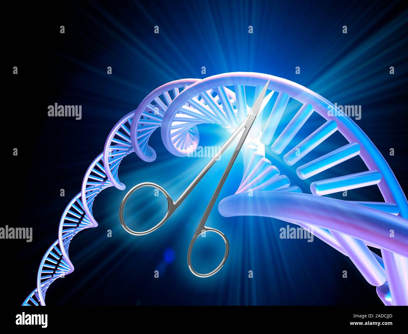 Genome editing. Conceptual computer artwork of a DNA (deoxyribonucleic ...