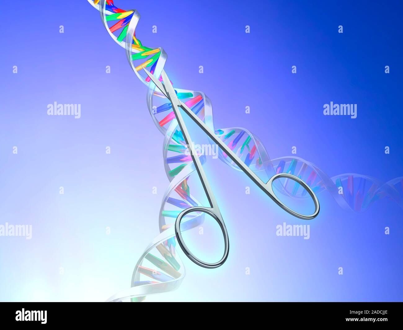 Genome editing. Conceptual computer artwork of a DNA (deoxyribonucleic ...