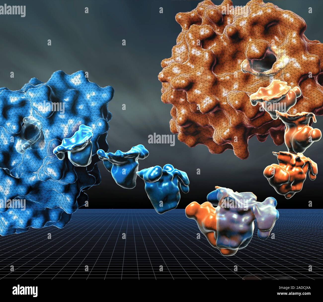 Computer modelling of proteins. Illustration of a computer modelling ...