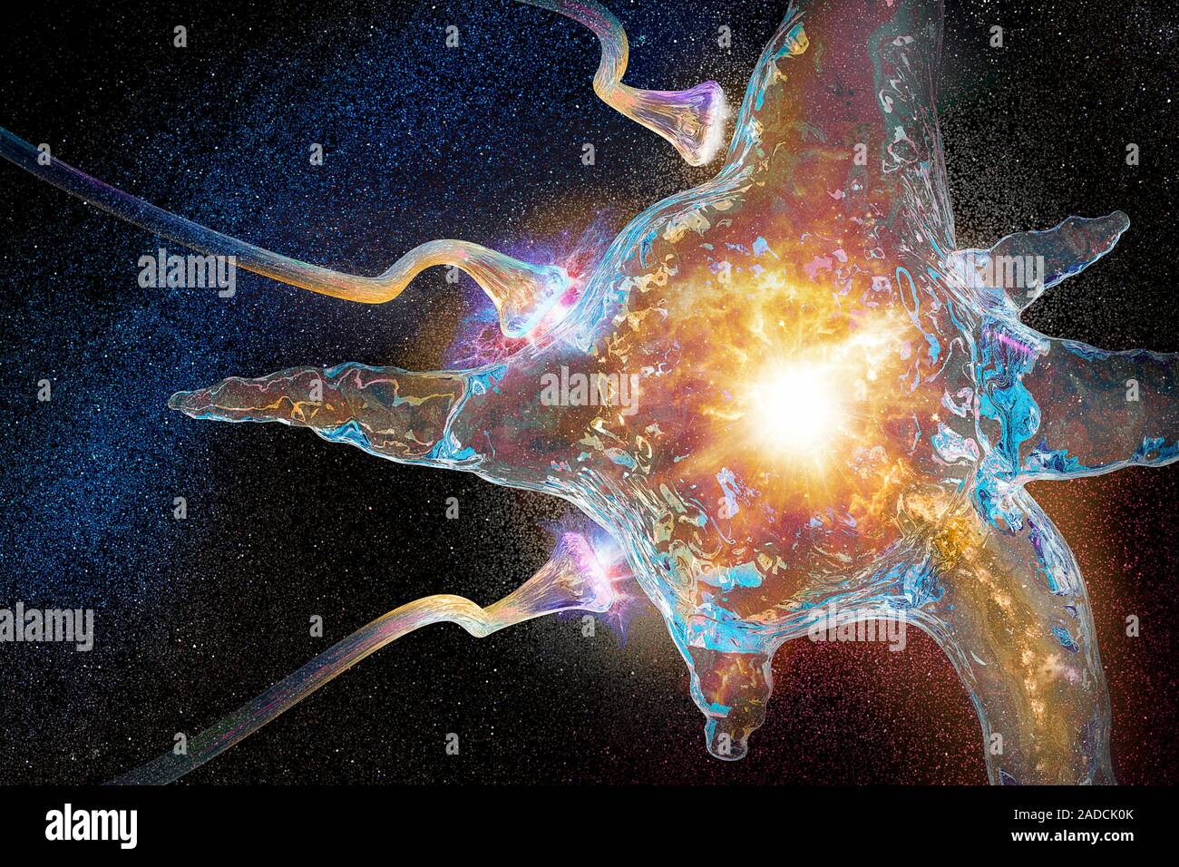 Nerve synapses, conceptual computer illustration Stock Photo - Alamy