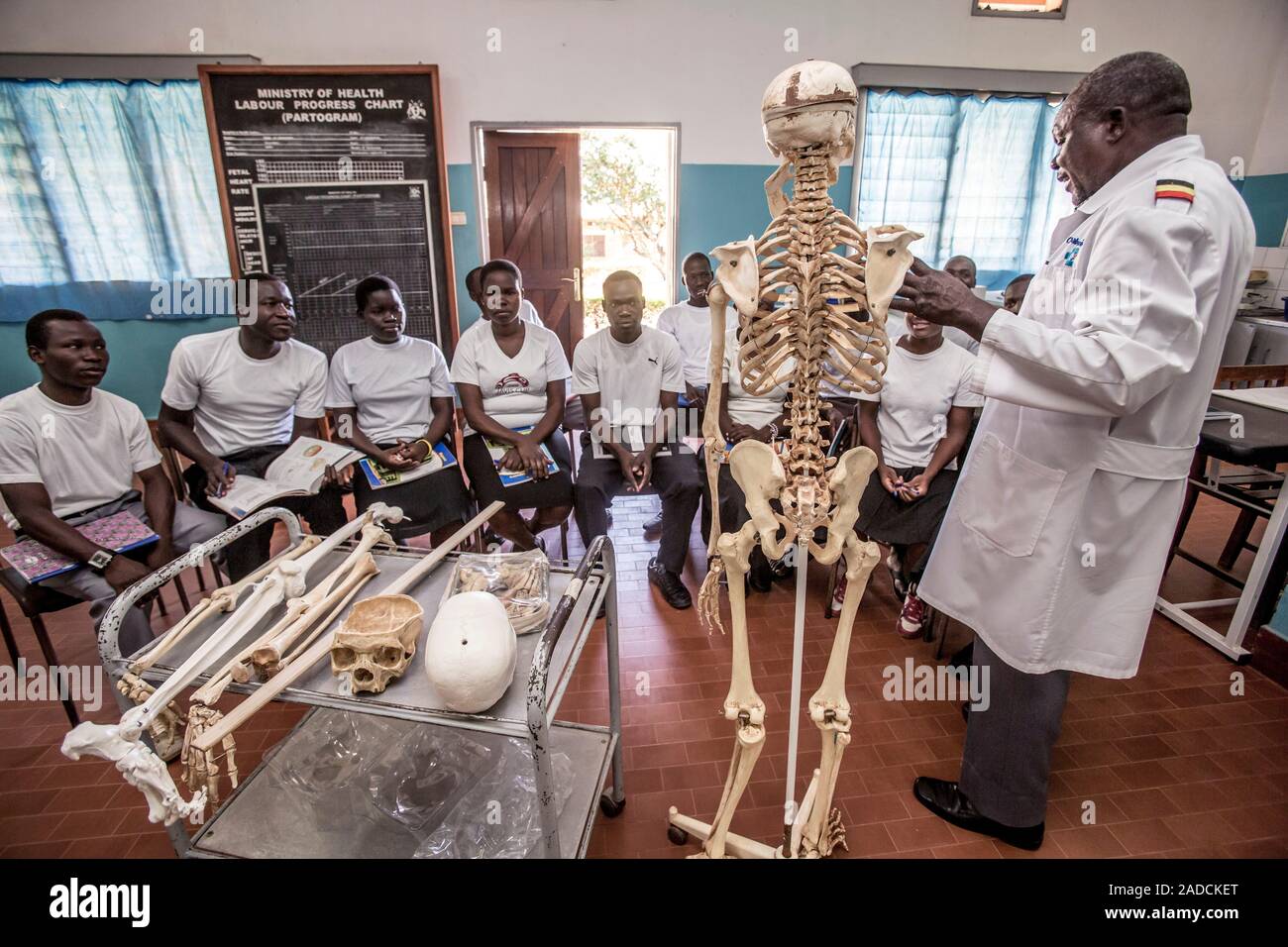 Medical students studying anatomy. Doctor teaching medical students at ...