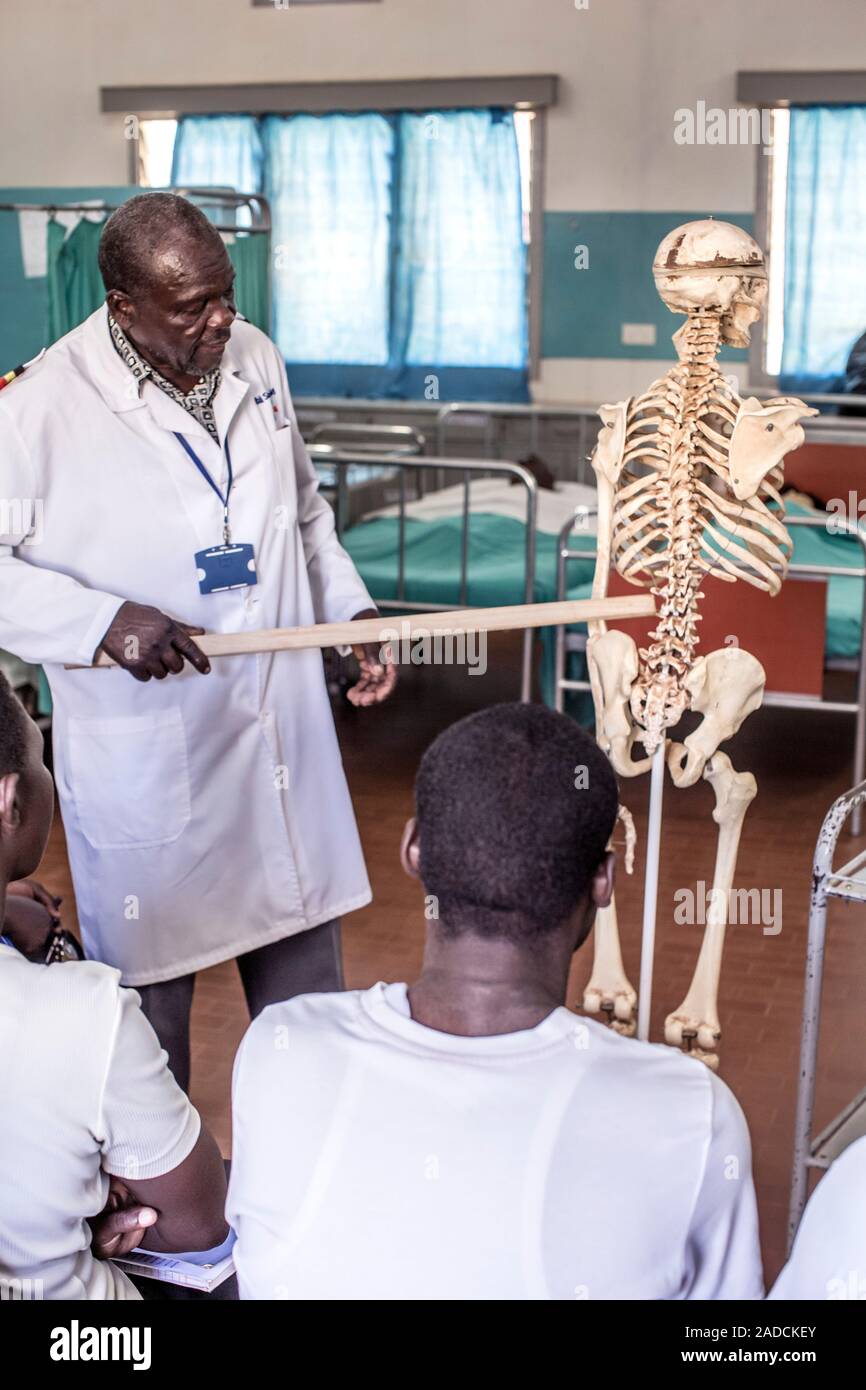 Medical students studying anatomy. Doctor teaching medical students at ...