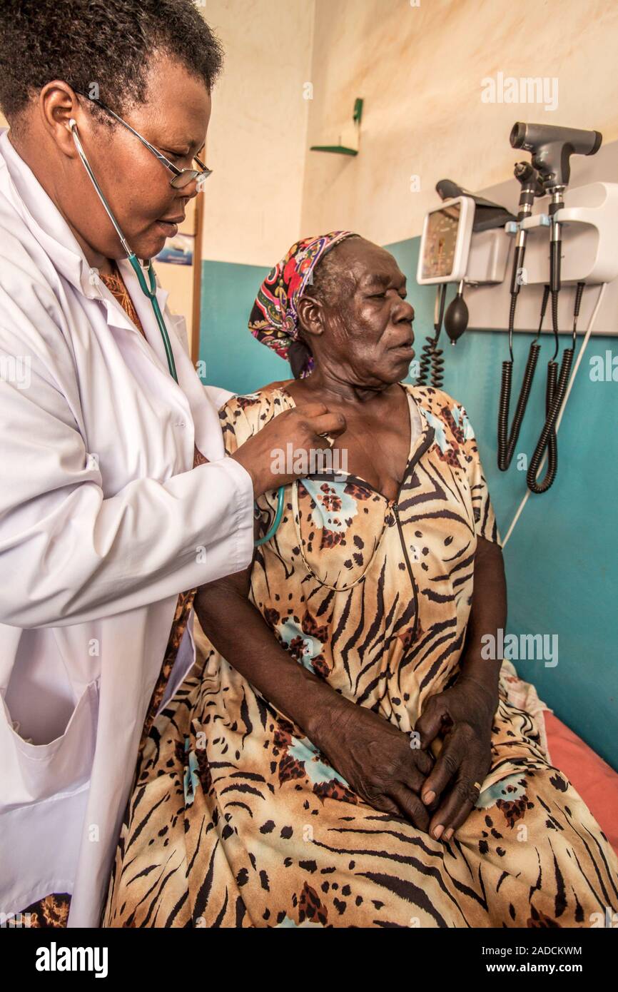Hospital examination. Hospital doctor examining a patient with a ...