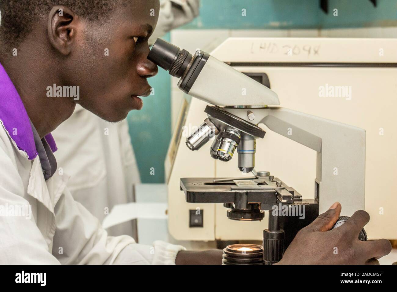 Blood analysis. Medical student using a light microscope to analyse a ...