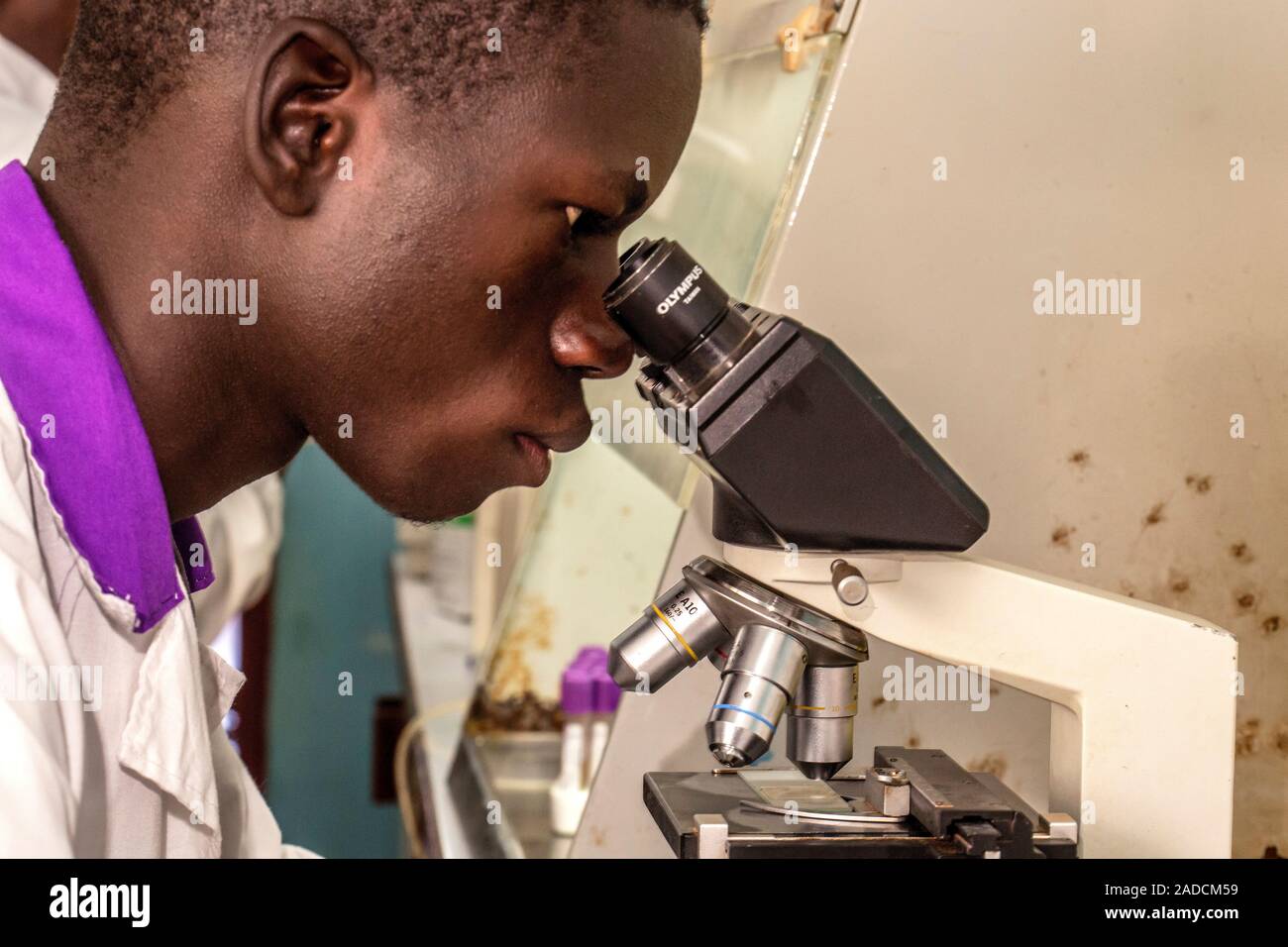 Blood analysis. Medical student using a light microscope to analyse a ...
