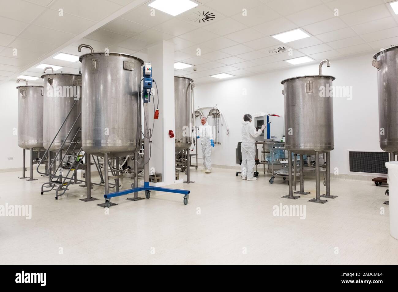 Medical collagen production. Workers in a clean room at a facility that ...