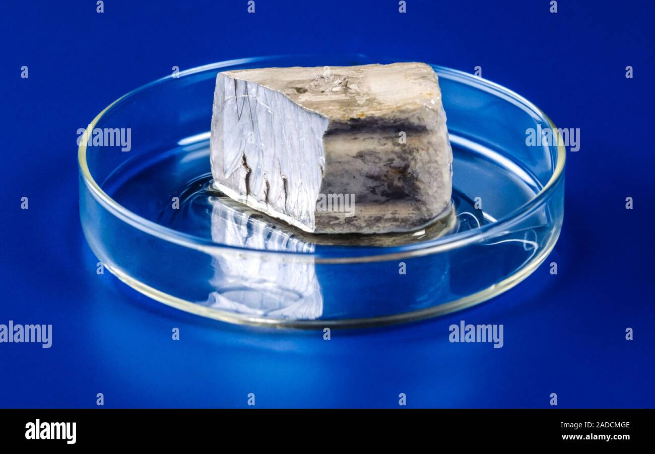 Block of the metal sodium, one of the chemical elements, in an opened ...