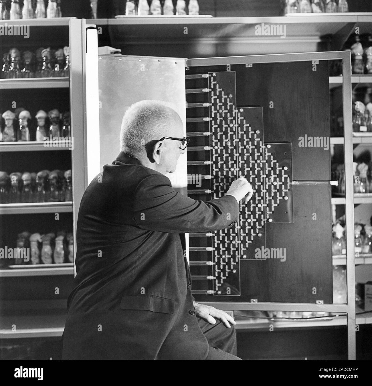 Russian-US geneticist Theodosius Dobzhansky (1900-1975) in his ...