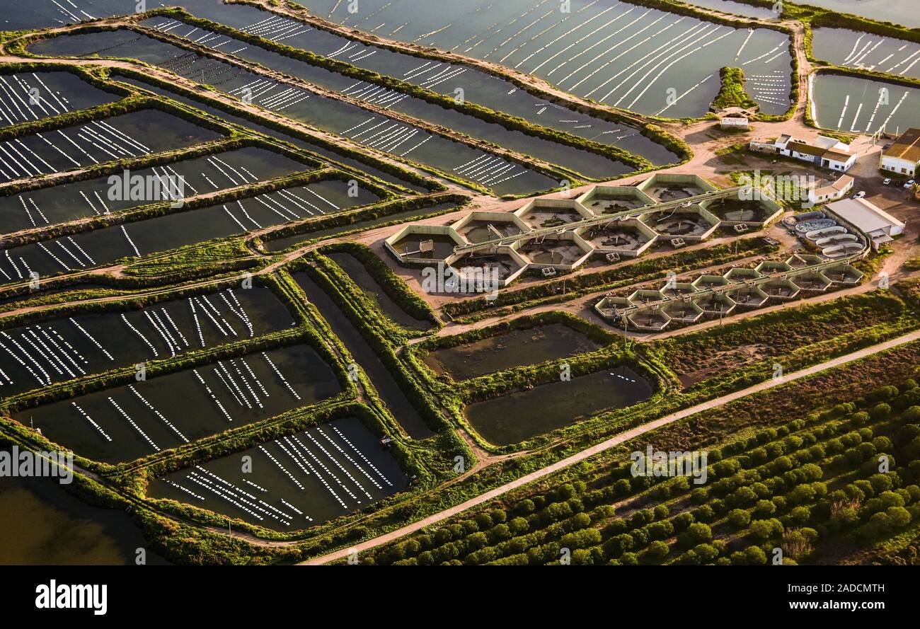 Aerial photograph of aquaculture pens on the Algarve coast, Portugal ...