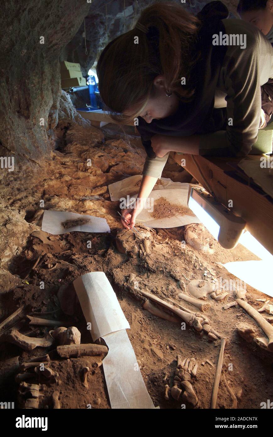 Excavation at the Cova des Pas prehistoric site. Researcher excavating ...