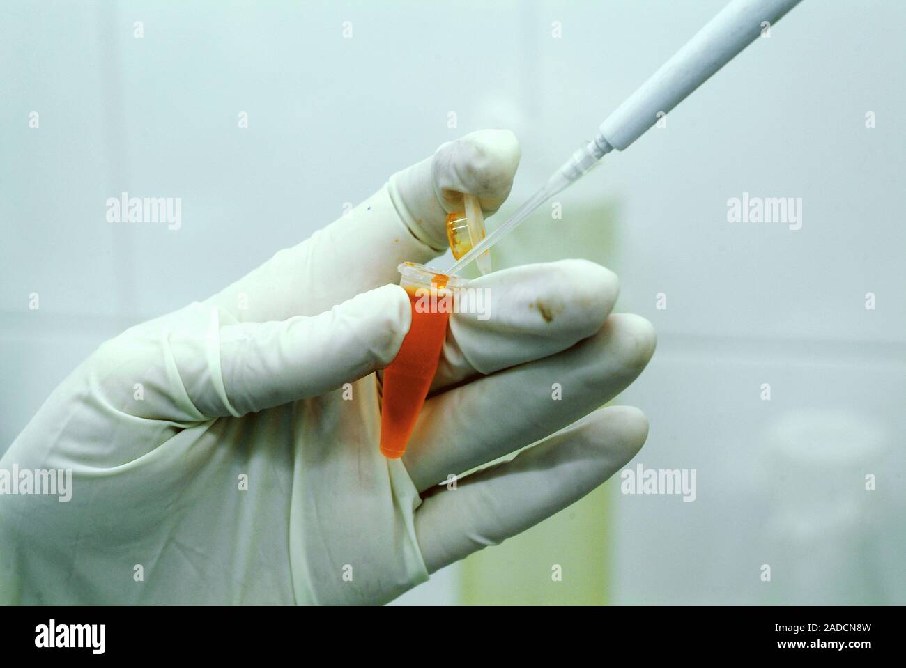 DNA test in anthropology laboratory. Close-up of a DNA ...