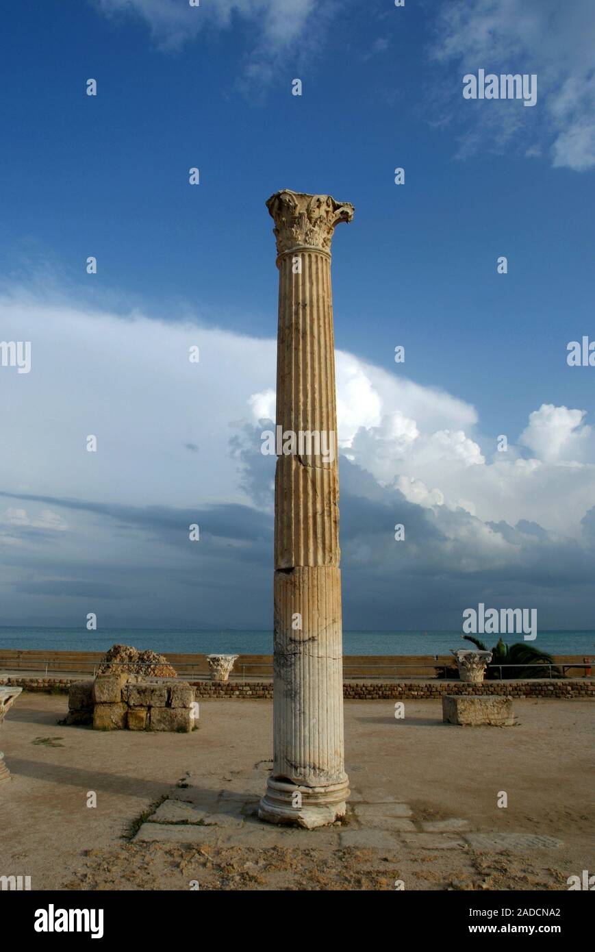 Column at Baths of Antoninus, Carthage. Ruins by the sea of the thermae ...