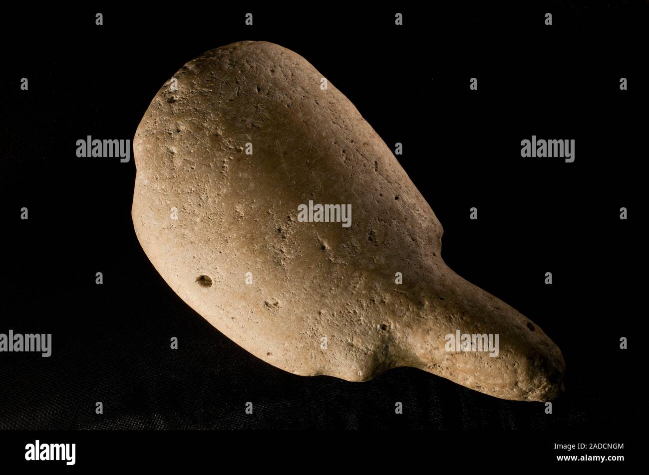 Mayan flint tool, from an undetermined period. The Maya were an ancient ...