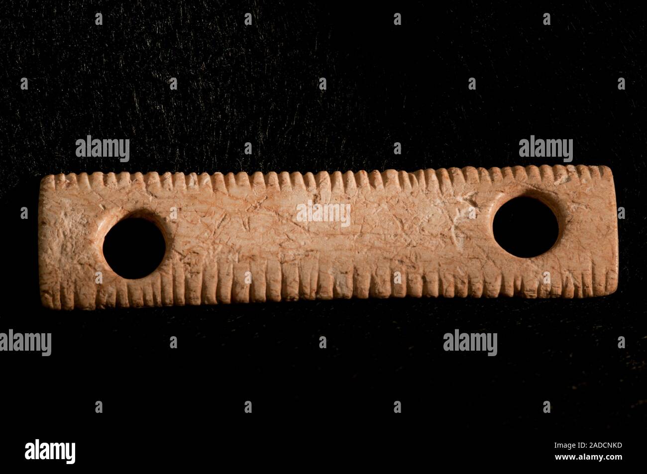 Prehistoric bone ruler, discovered in Malta. Thin rectangular object of ...