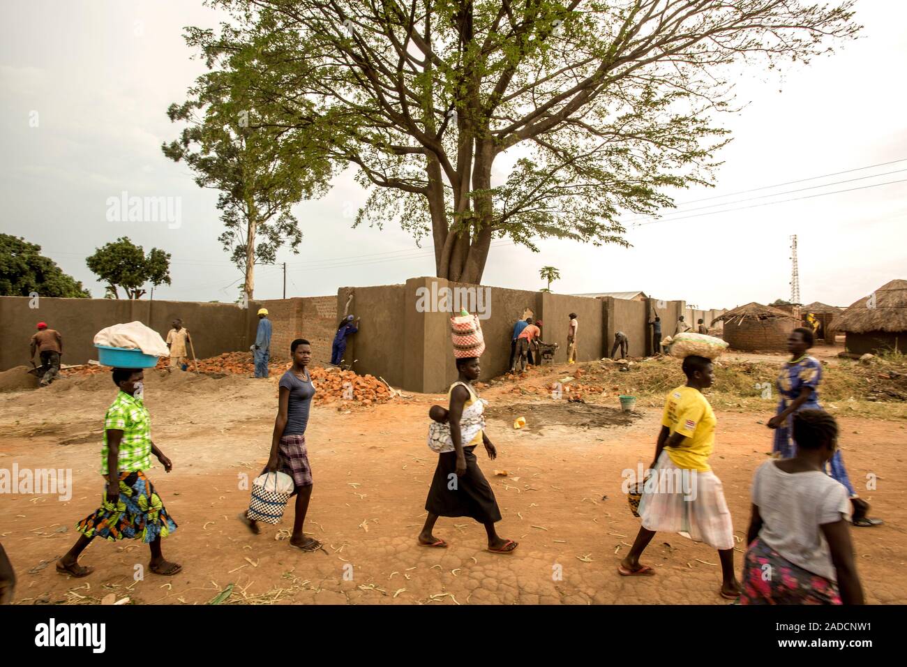 Ugandan women carrying bundles on their heads as they walk along a road ...