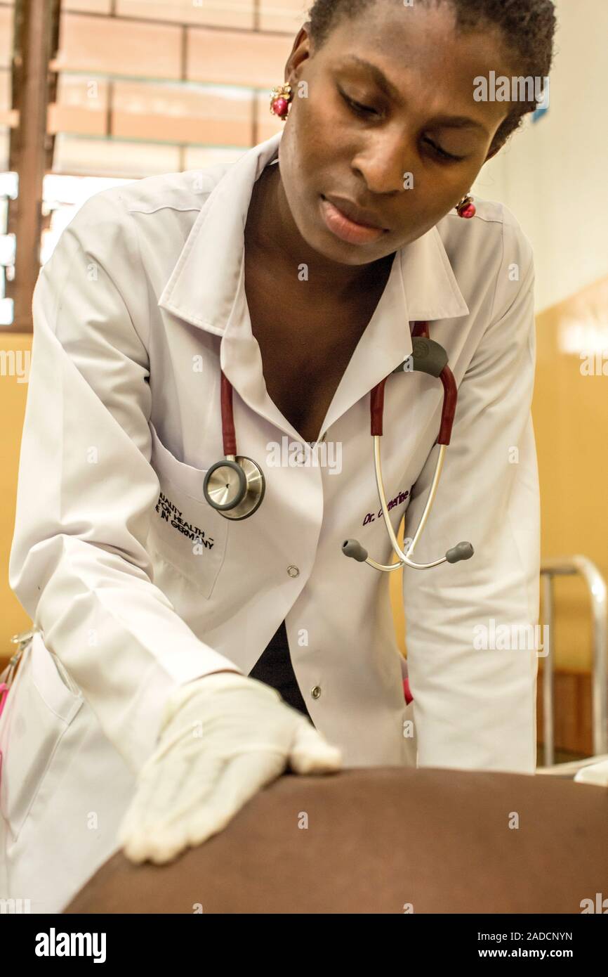 Antenatal clinic examination. Hospital doctor examining a pregnant ...
