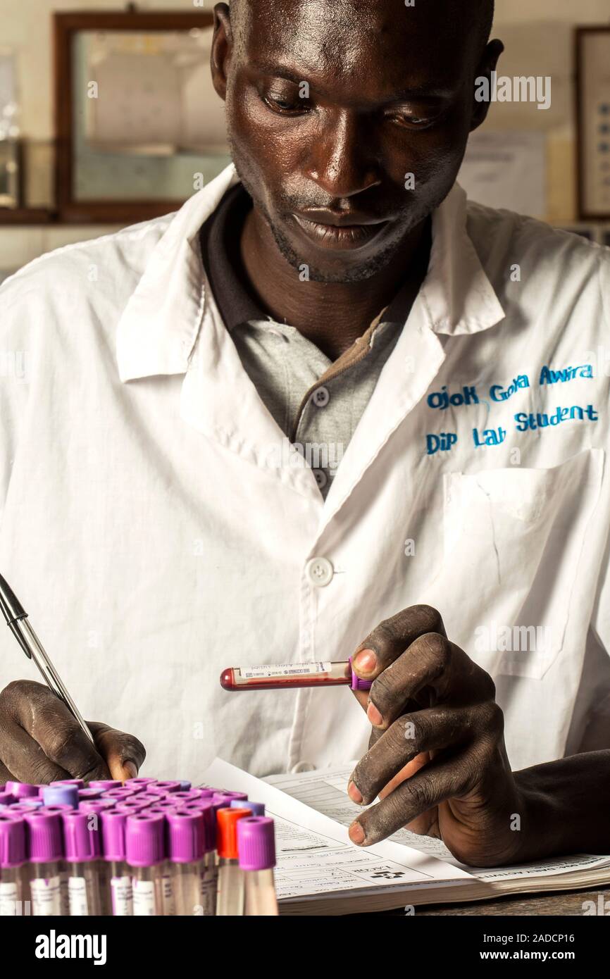 Blood sample analysis. Medical student working with blood samples in a ...