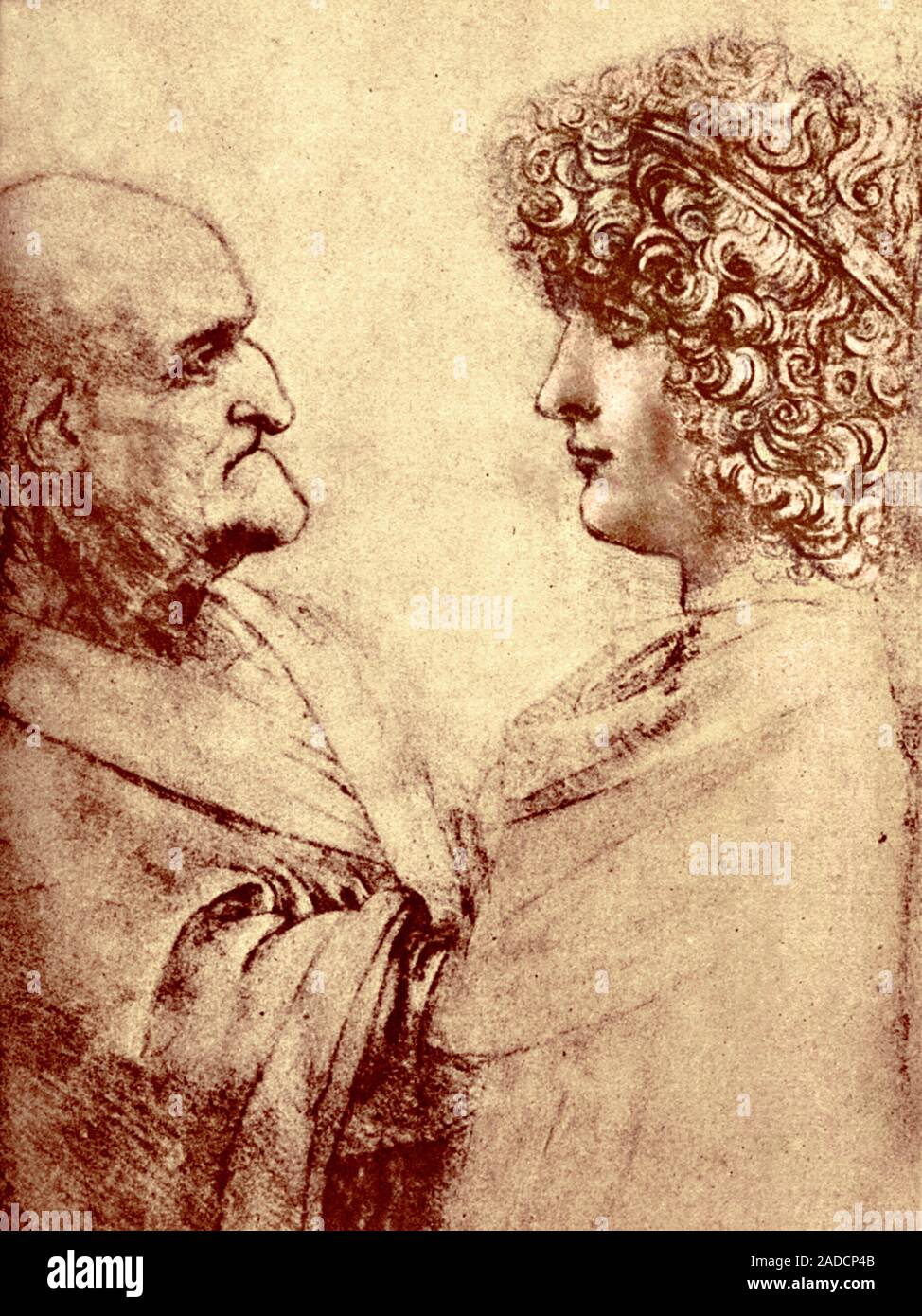 Drawing by Leonardo da Vinci, circa 1497-1500, of the profiles of an ...