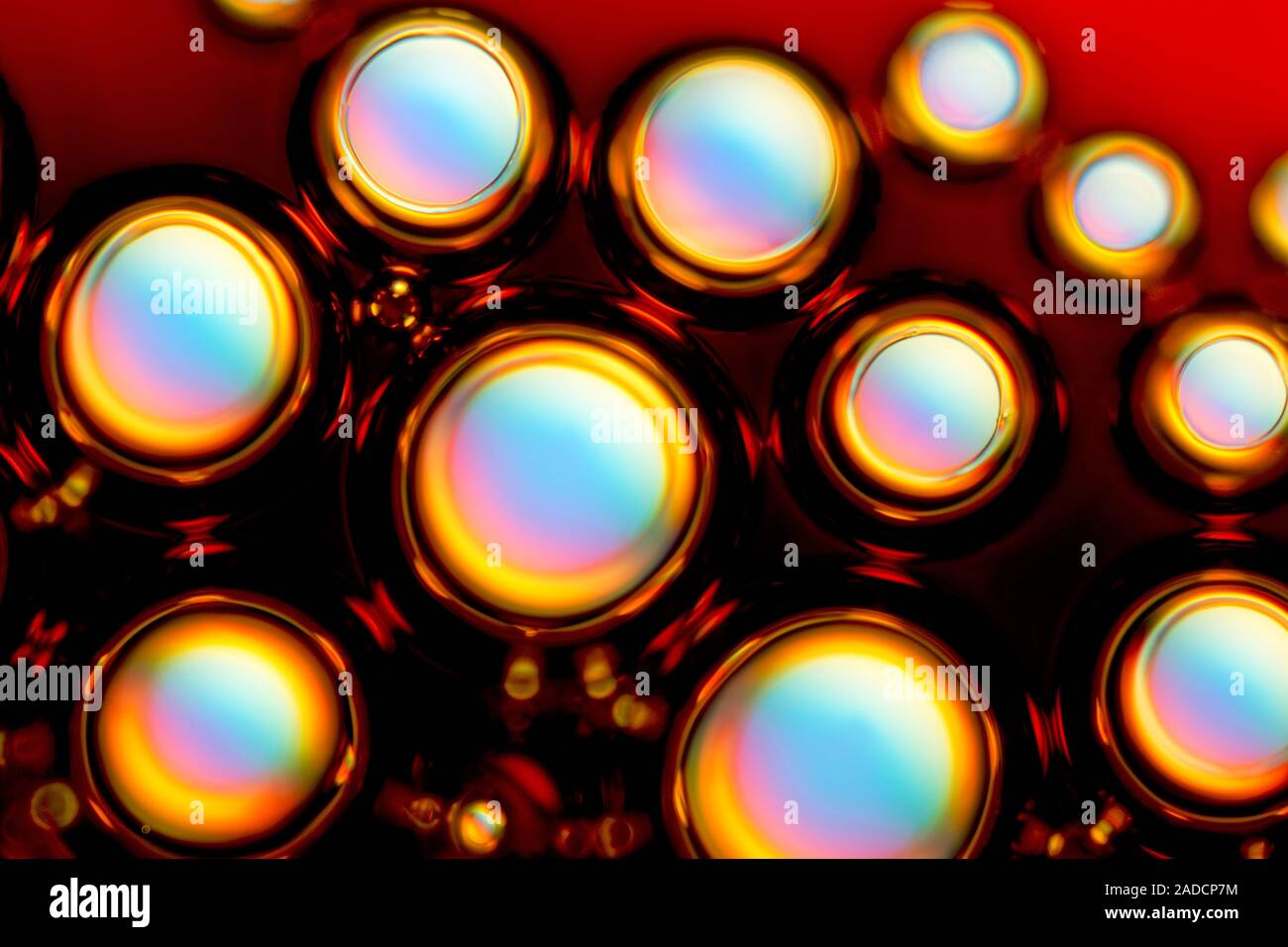 Polarised light micrograph (PLM) of folinic acid (leucovorin). Folinic ...