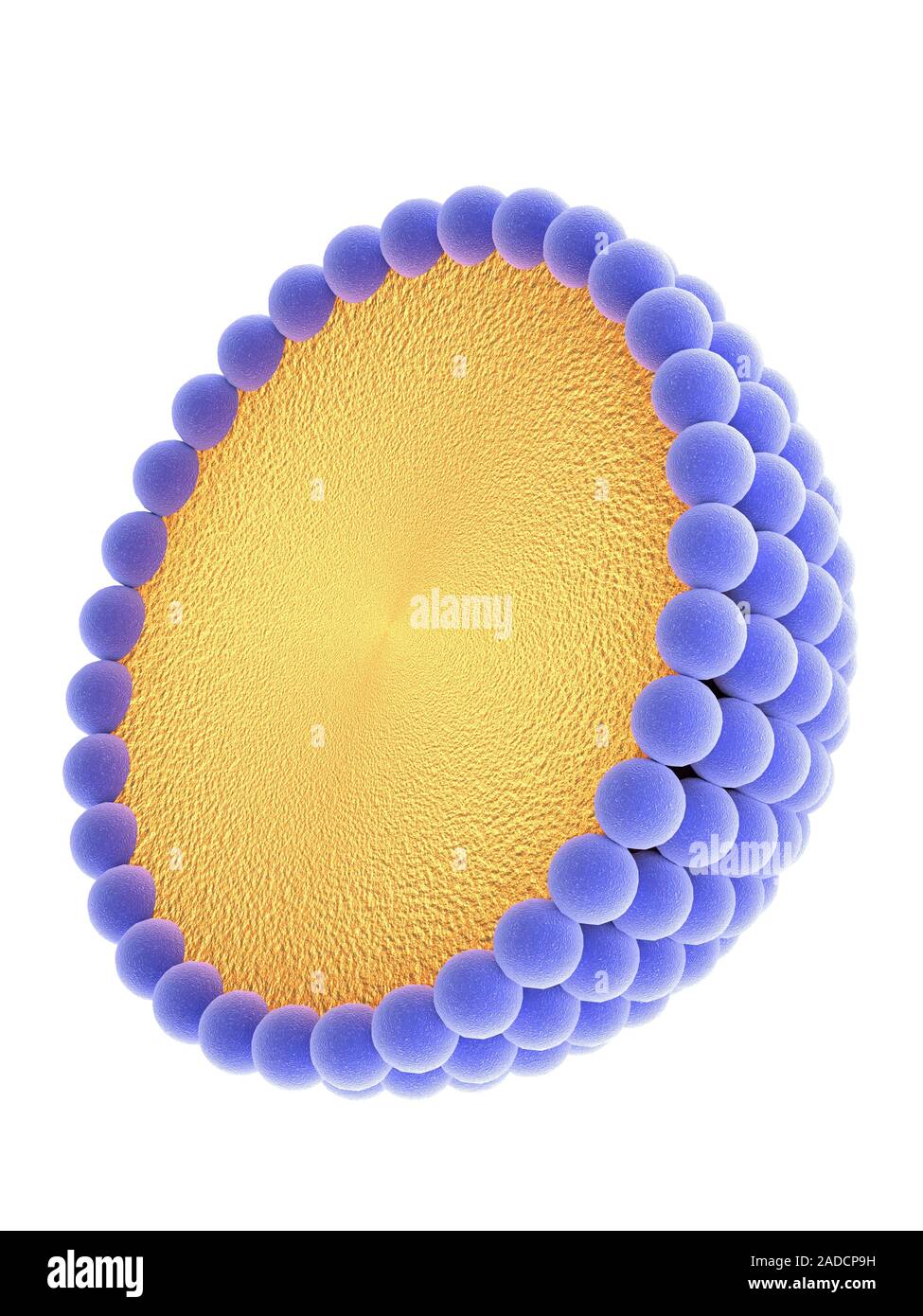 Computer illustration of an emulsion stabilized with nanoparticles, so ...