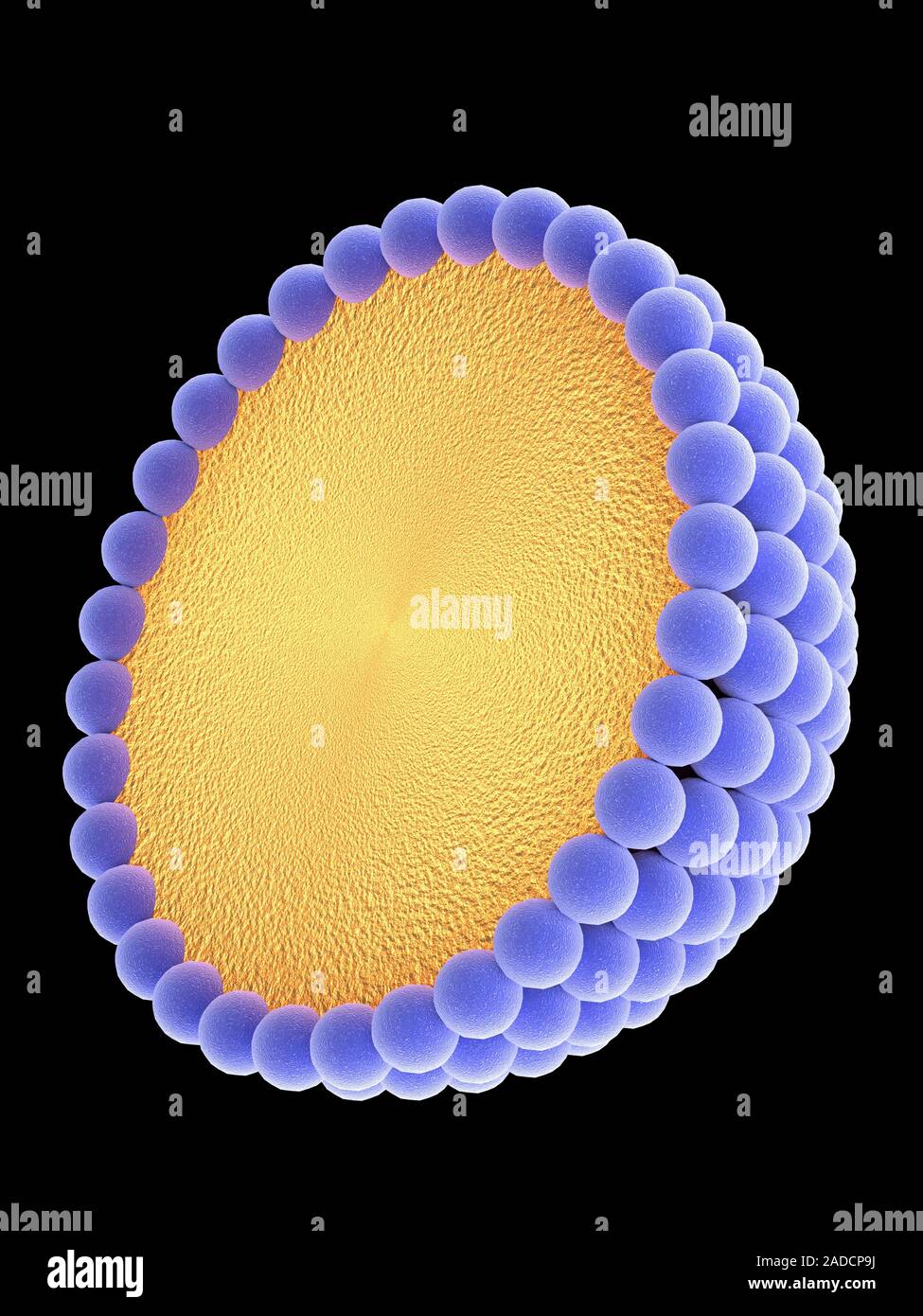 Computer illustration of an emulsion stabilized with nanoparticles, so ...
