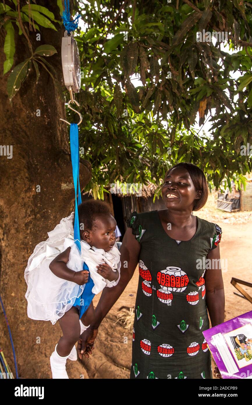 Weighing a baby. Community nurse using a set of Newton scales to weigh ...