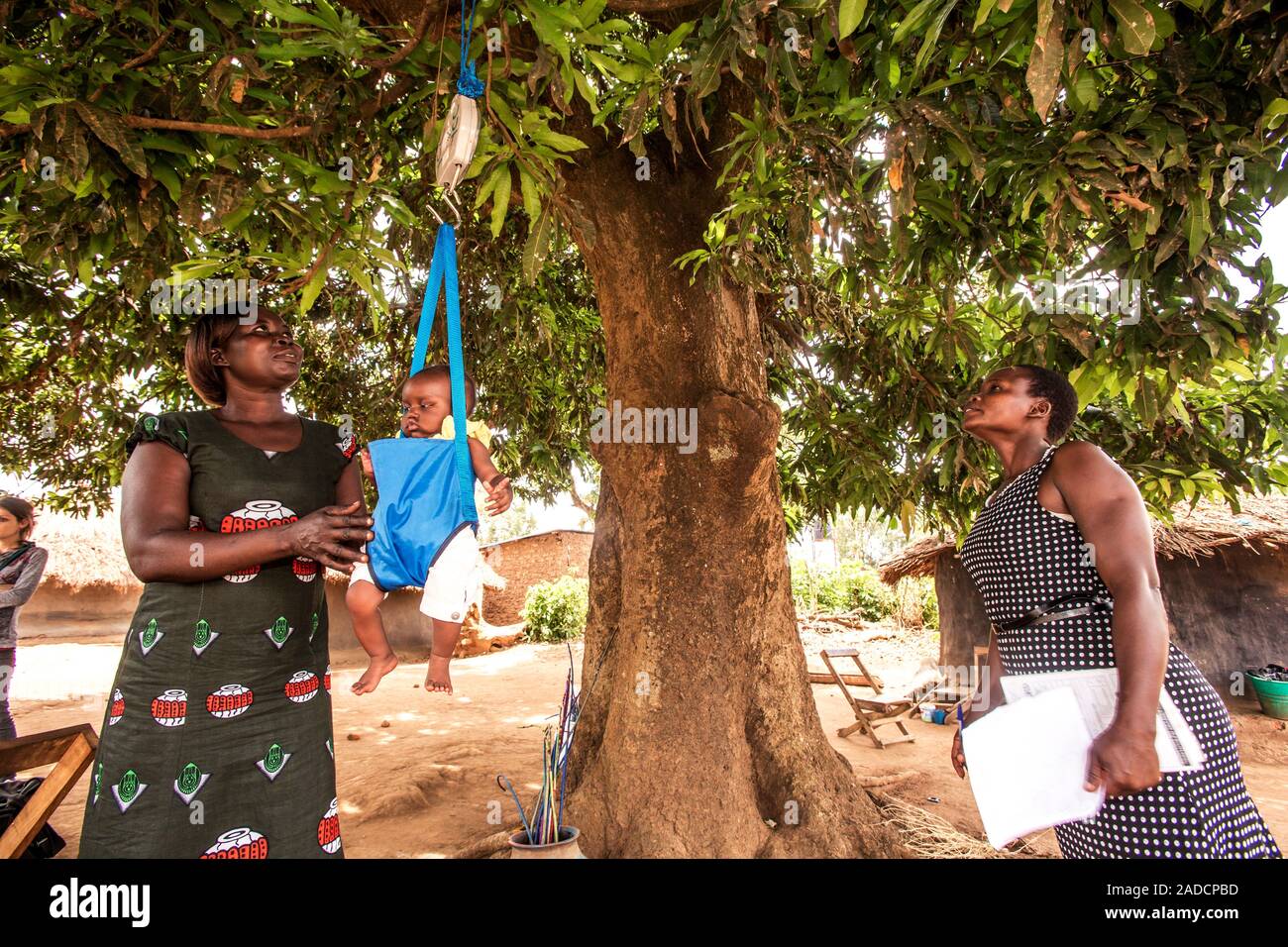 Weighing a baby. Community nurses using a set of Newton scales to weigh ...