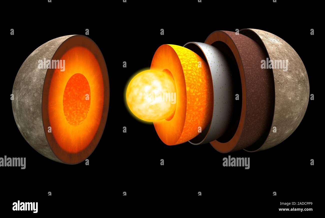 Exploded cut-away diagram showing the internal structure of the ...