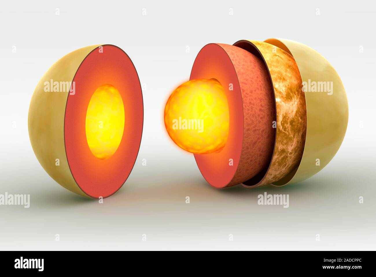 Diagram showing the interior of the terrestrial planet Venus. The ...