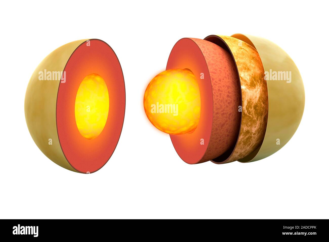 Diagram showing the interior of the terrestrial planet Venus. The ...