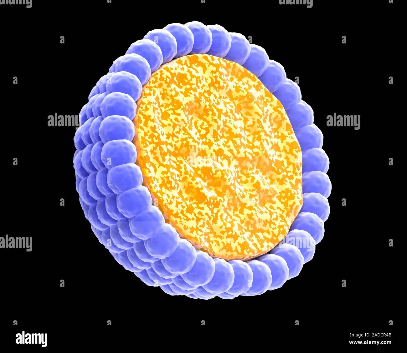 Computer illustration of an emulsion stabilized with nanoparticles, a ...