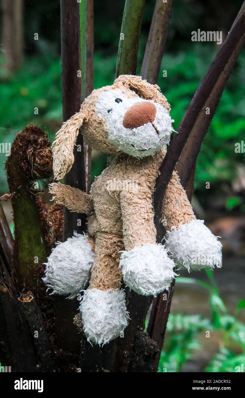 Abandoned stuffed toy hi-res stock photography and images - Alamy