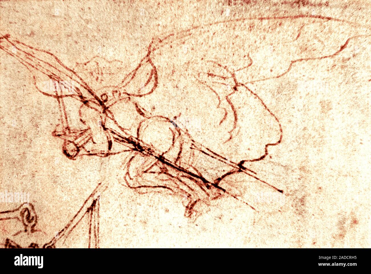Sketch made by Leonardo da Vinci (1452-1519) for a design of an ...