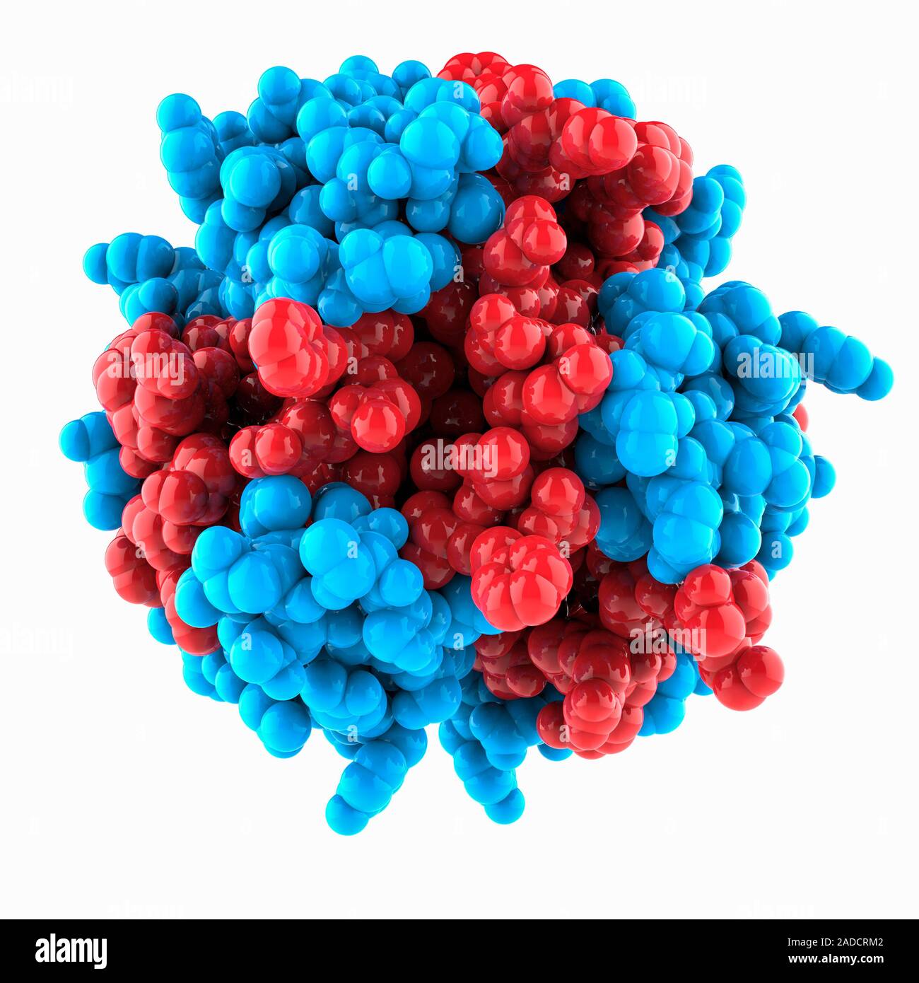 Insulin molecule. Computer model showing the structure of a molecule of ... Insulin molecule. Computer model showing the structure of a molecule of ...