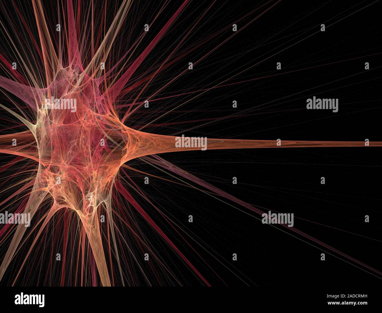 Nerve cell. Abstract computer illustration of a nerve cell, or neuron ...