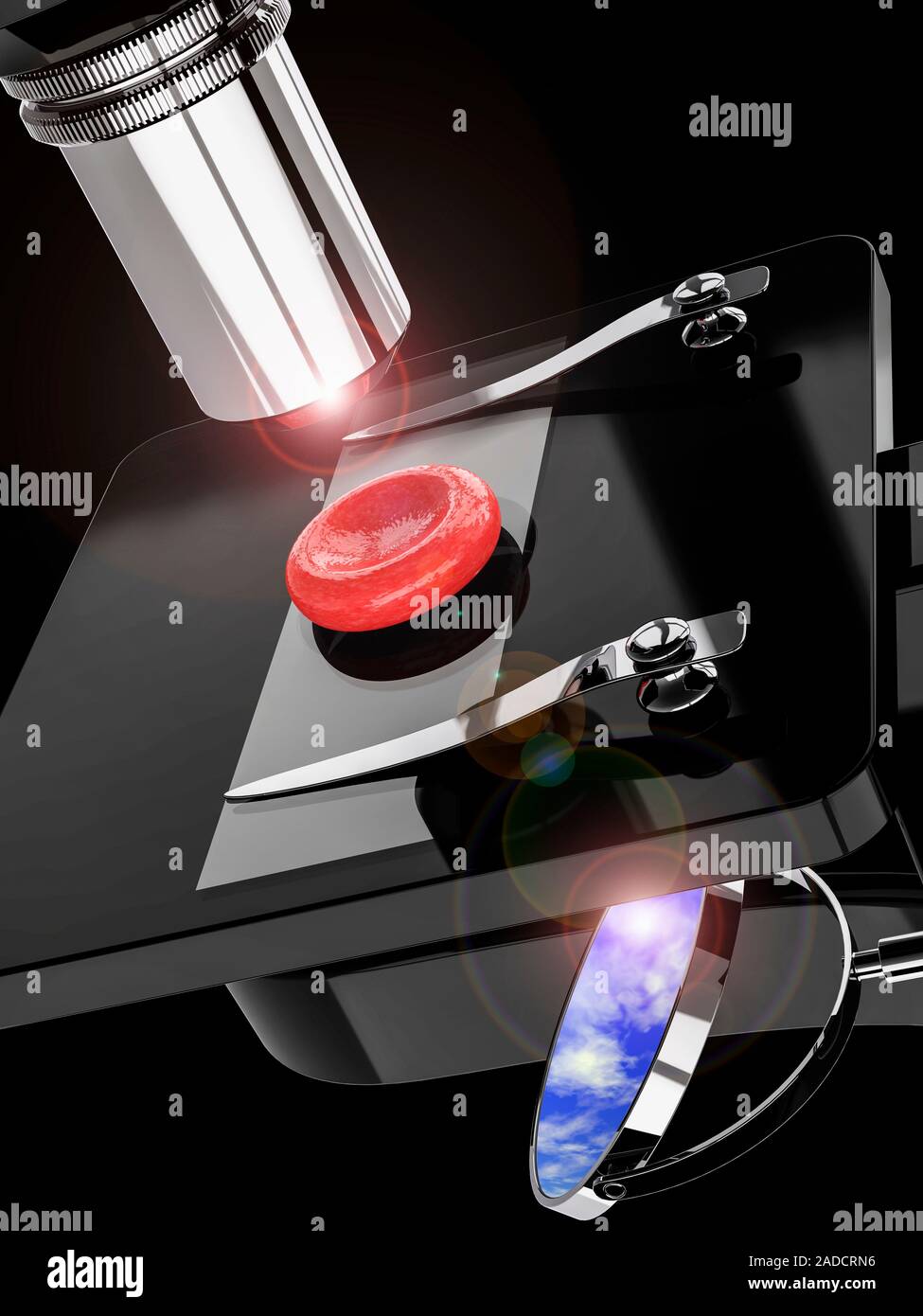 Conceptual illustration showing a red blood cell being examined under a ...