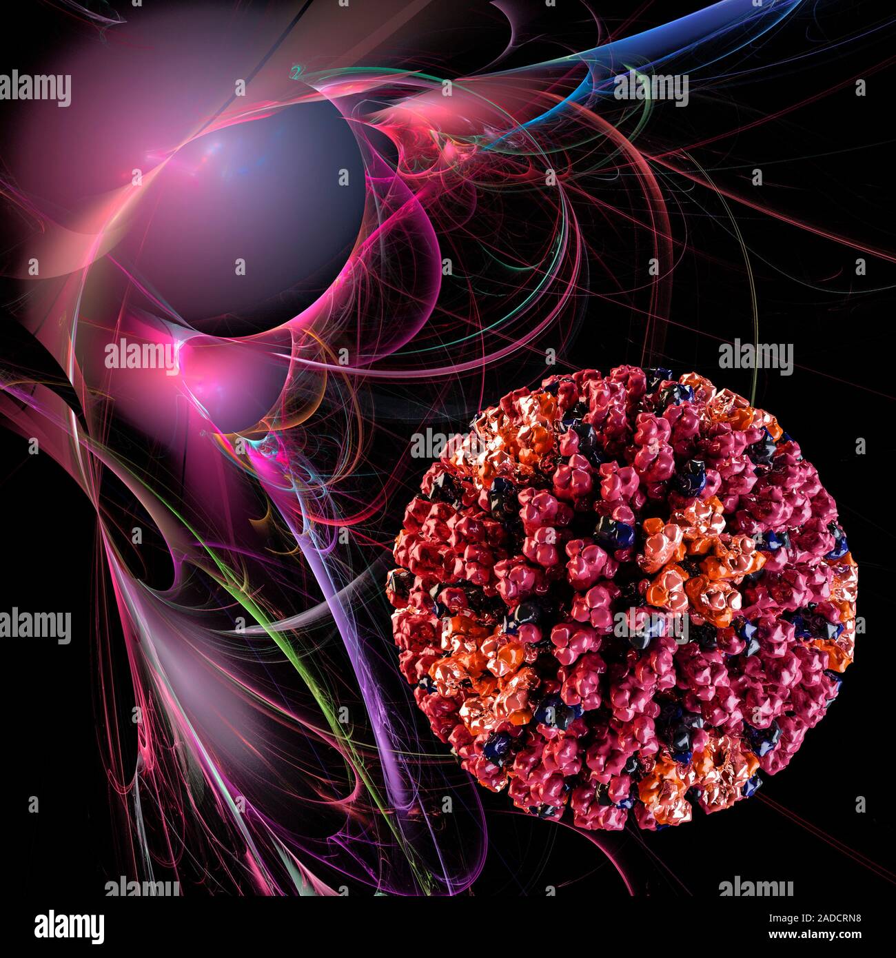 Bluetongue virus (BTV) capsid, molecular model. BTV is an orbivirus ...