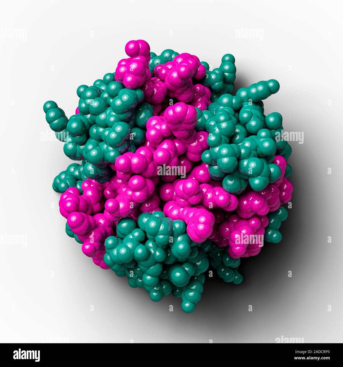Insulin molecule. Computer model showing the structure of a molecule of ... Insulin molecule. Computer model showing the structure of a molecule of ...