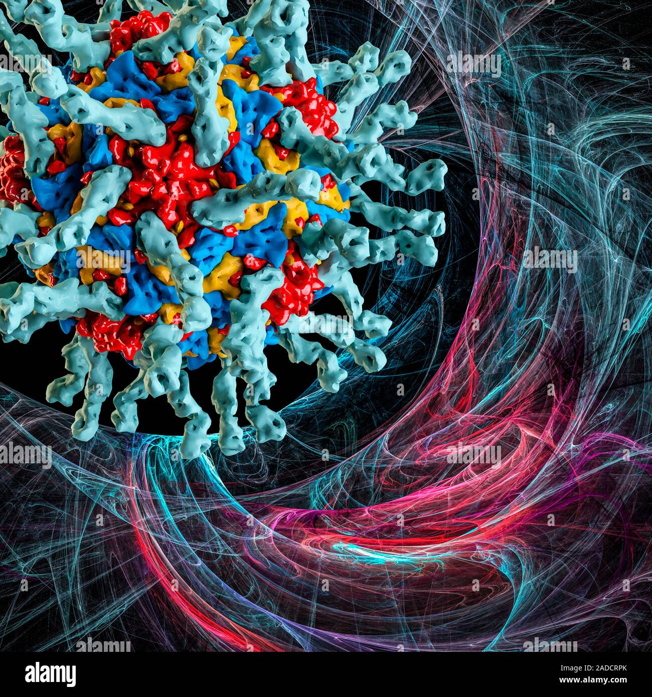 Human poliovirus particle. Computer model of the capsid of the human ...