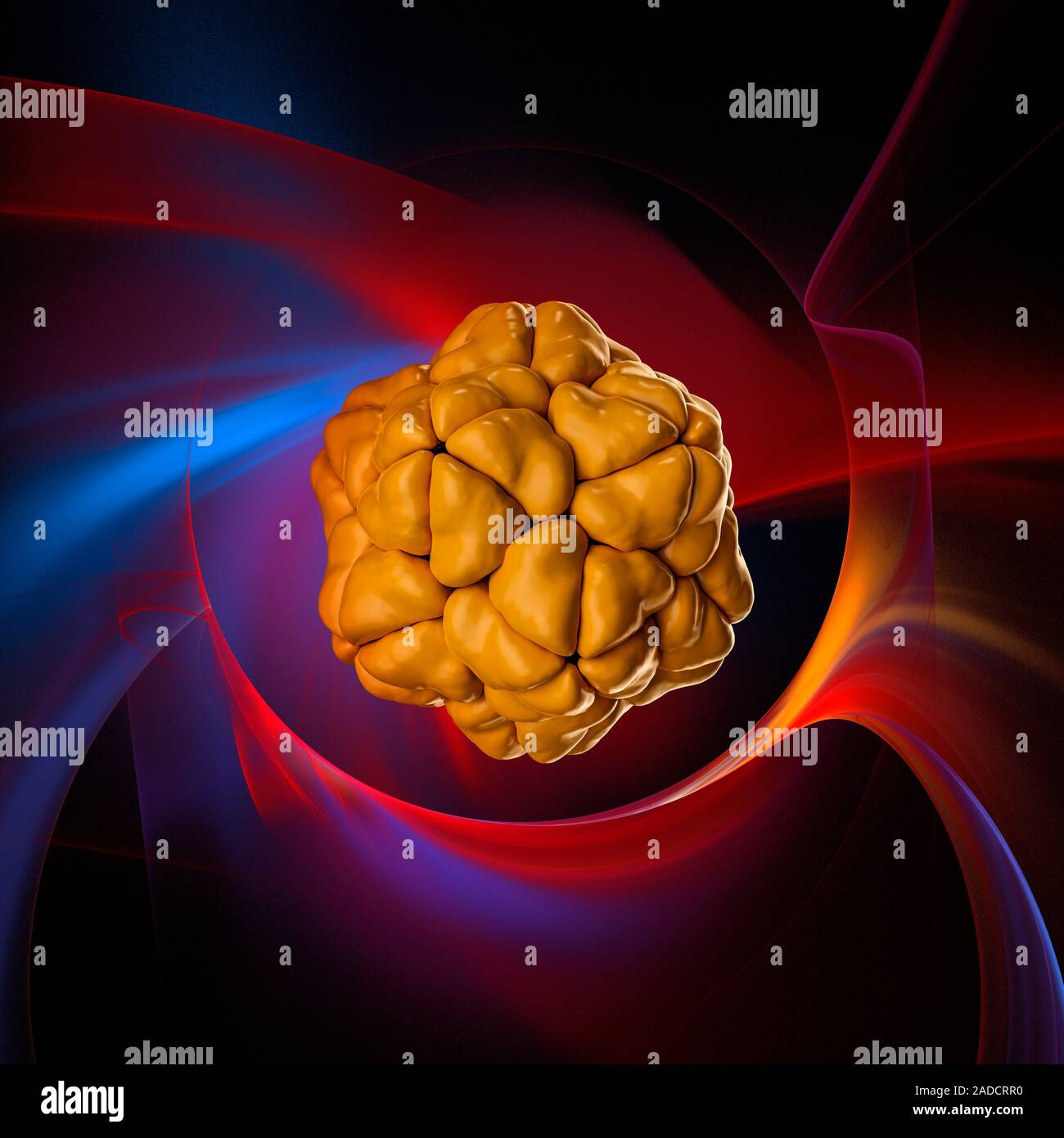 Satellite tobacco necrosis virus. Computer illustration showing the ...